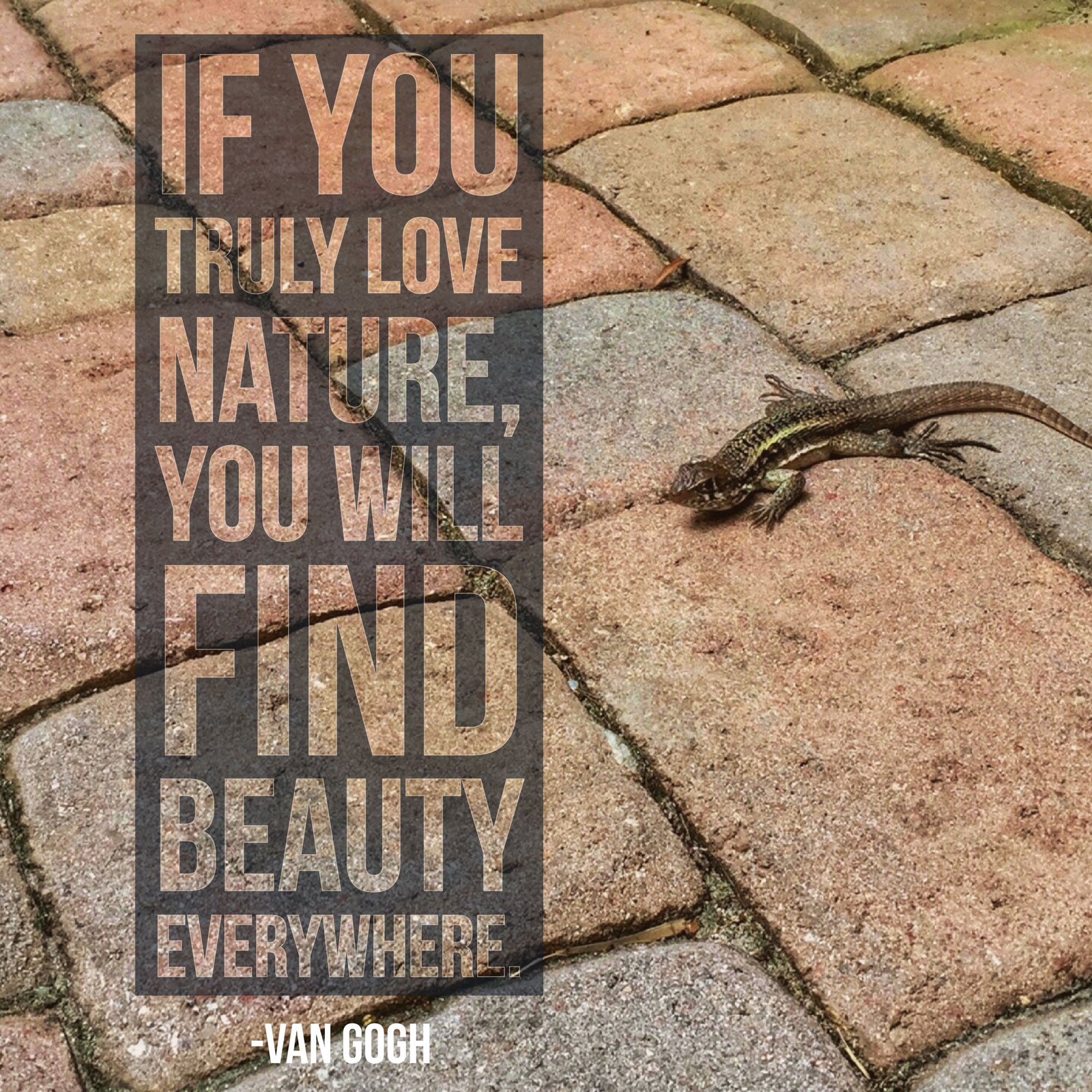 Find Beauty Everywhere